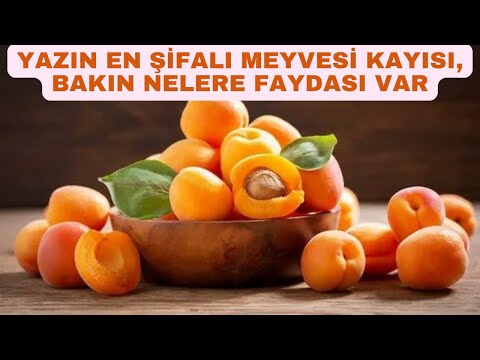 KAYISININ FAYDALARI NELERDİR/AÇ KARNA KAYISI YEMENİN FAYDALARI/KAYISI YEMEK NELERE YARARLIDIR