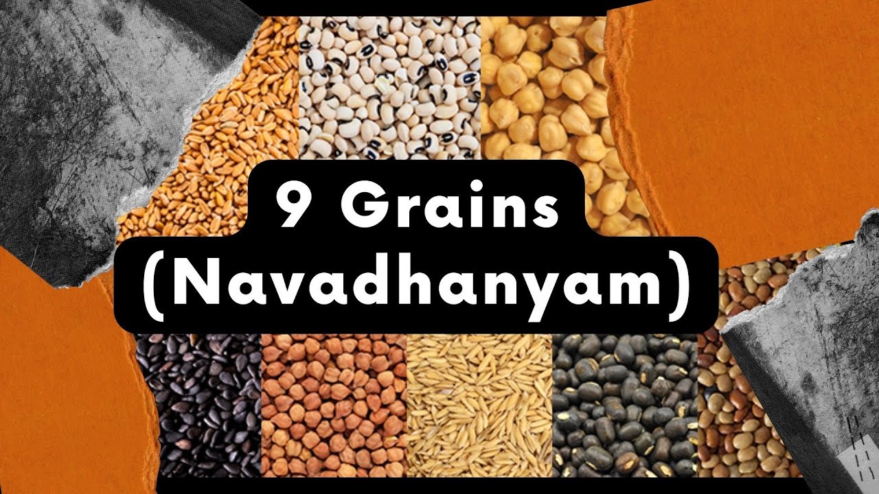 Grains name | 9 Grains | Navadhanyam | Grains name in English with ...