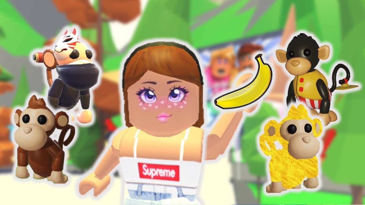 EVERY MONKEY PET COMING IN ADOPT ME (ROBLOX) - YouTube