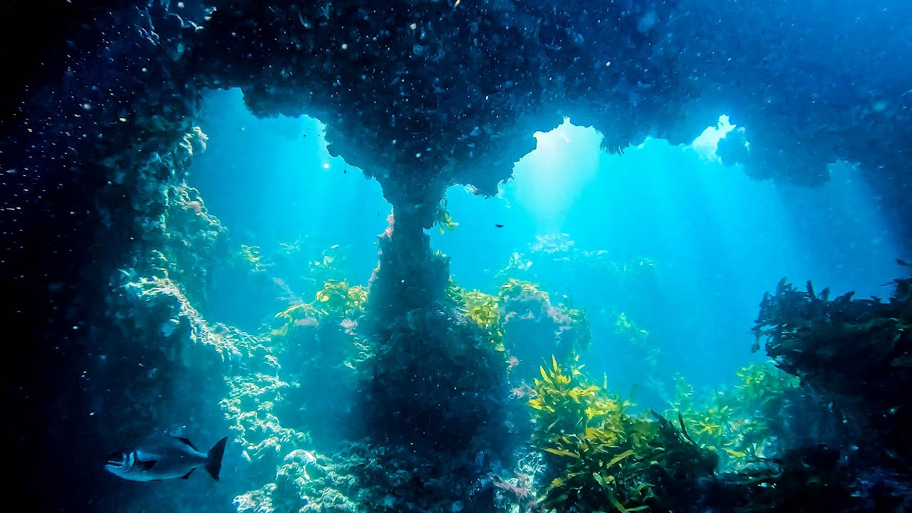 Christmas Caves Dive - Rockingham - YouTube