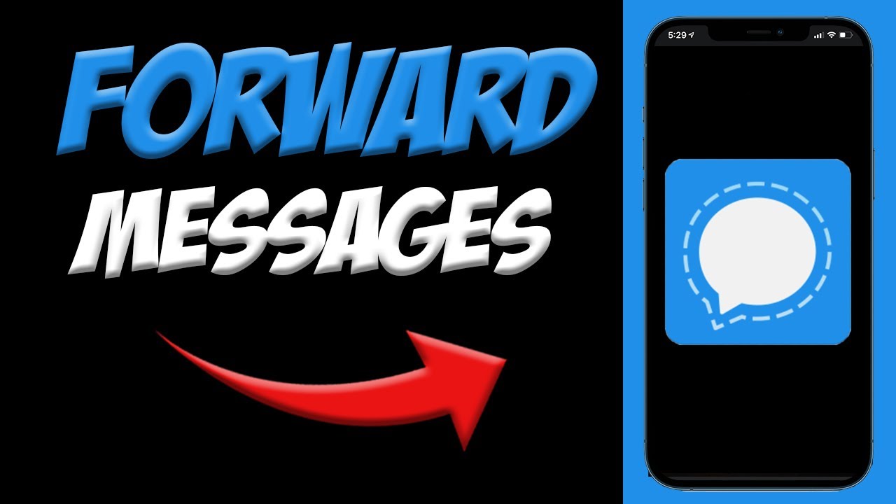 How To Forward Messages on Signal on iPhone 2021 🔥| Forward Messages on ...