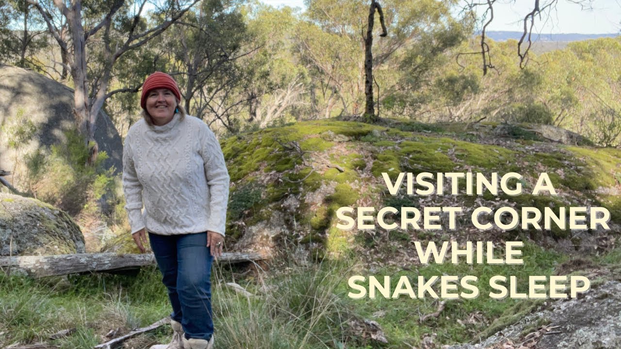 28. Visiting a Secret Corner While Snakes Sleep - YouTube
