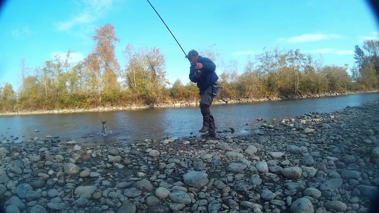 Vedder River Chilliwack River Salmon Fishing. October 18, 2018 - YouTube
