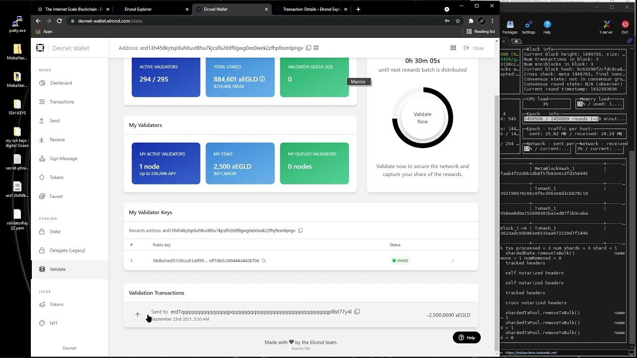 How to build a MultiversX (former Elrond) node - Part 09 - Connect the Wallet to the Node - YouTube