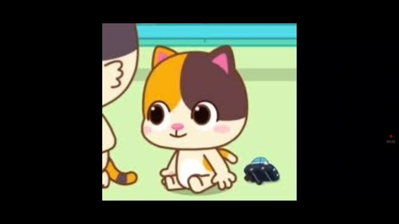 baby bus cat mimi - YouTube