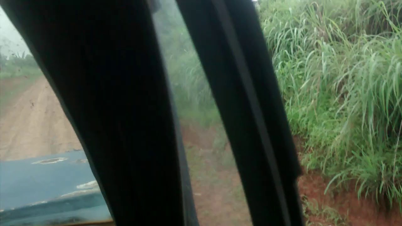 Calango azul começando A trilha - YouTube