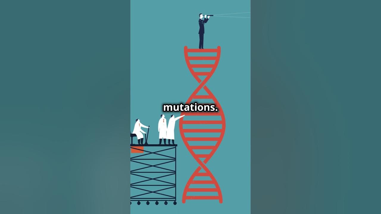 DNAROLAND Unlocking the Secrets of DNA Health - YouTube