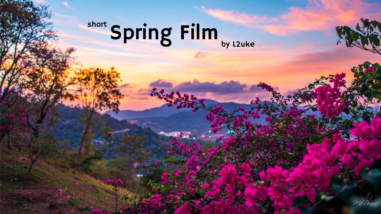 Spring (short film) - YouTube