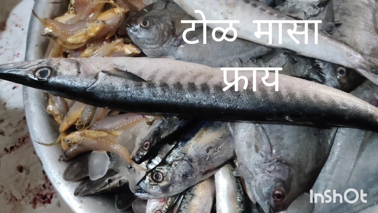 Garfish ( Toll ) fish fry (टोळ मासा फ्राय) एकच काटा असणारा,चवीला ...