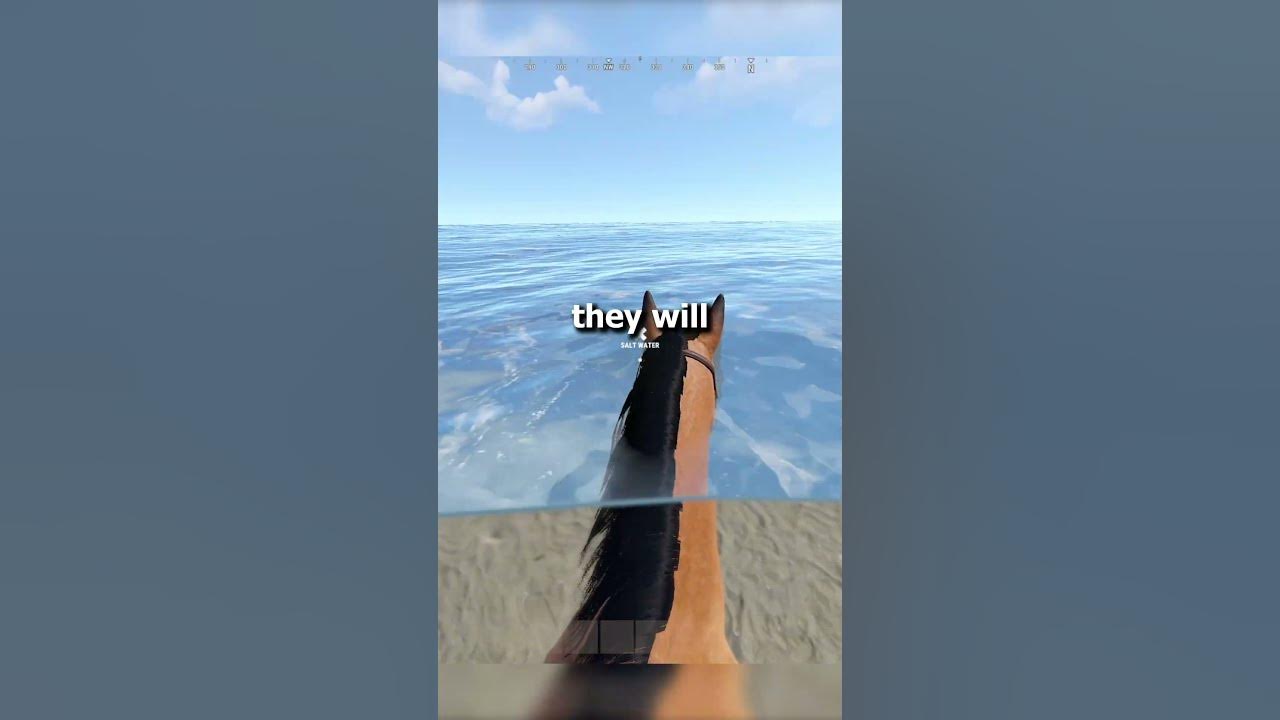 Horses Update #rust #rustcontent #rustgame - YouTube