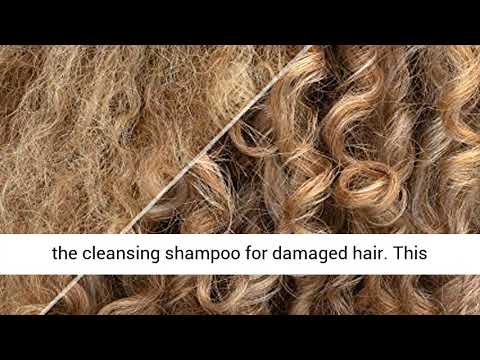 REDKEN Extreme Shampoo for Distressed | Hair Strengthen & Repair Damaged Hair| Infused with ...