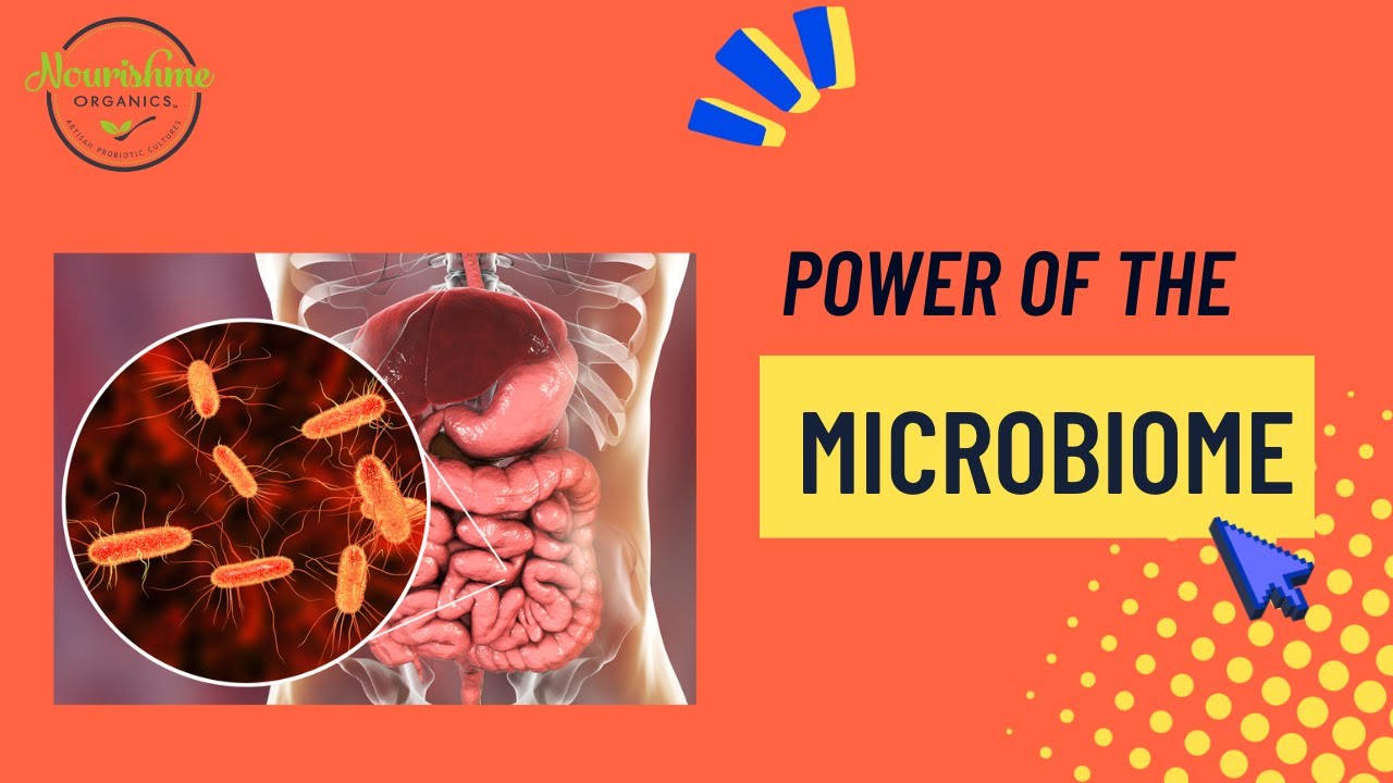 Unlocking the Secrets of the Human Microbiome - What You Need to Know ...