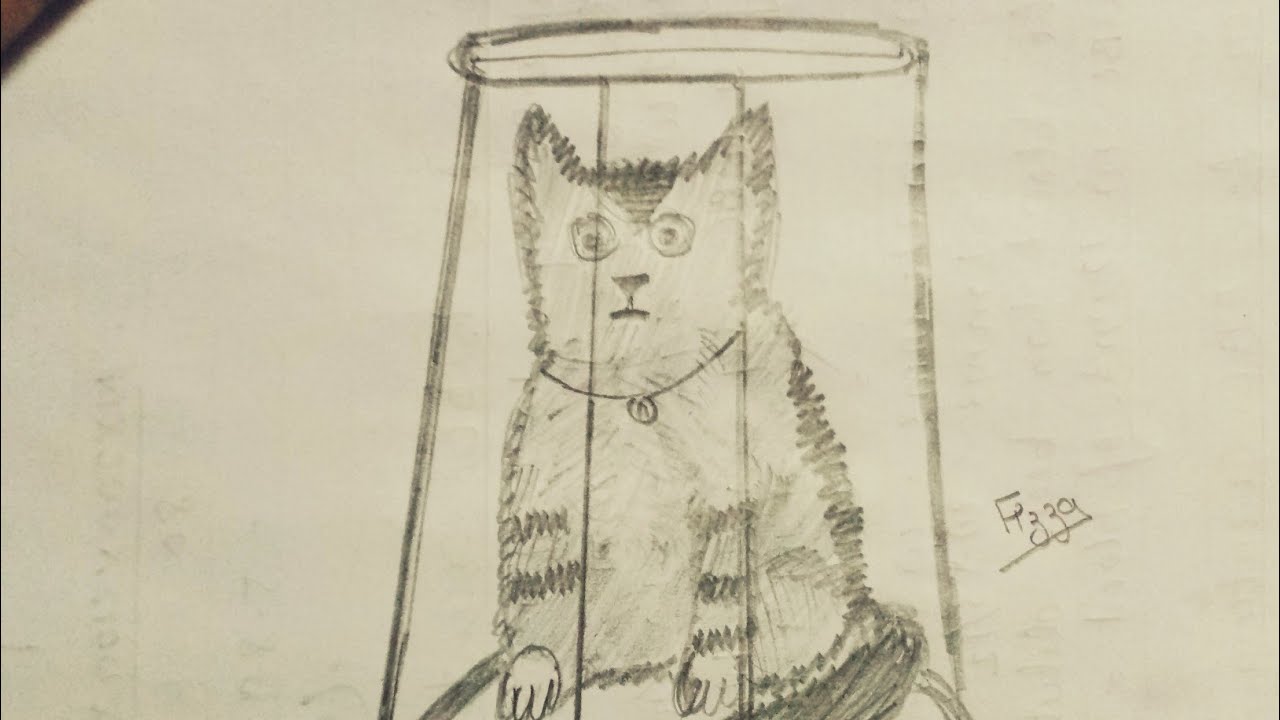 Daily Challenge #3/a 🐱beautiful cat under the table /pencil sketch ...