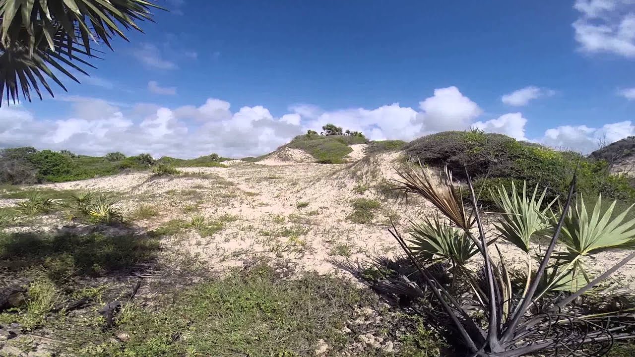 A short walk Kiwayu beach - YouTube