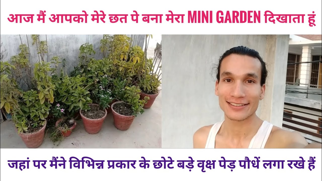 आज मैं आपको मेरे छत पे बना मेरा Mini Garden दिखाता हूं 🍅🥒 My Mini ...