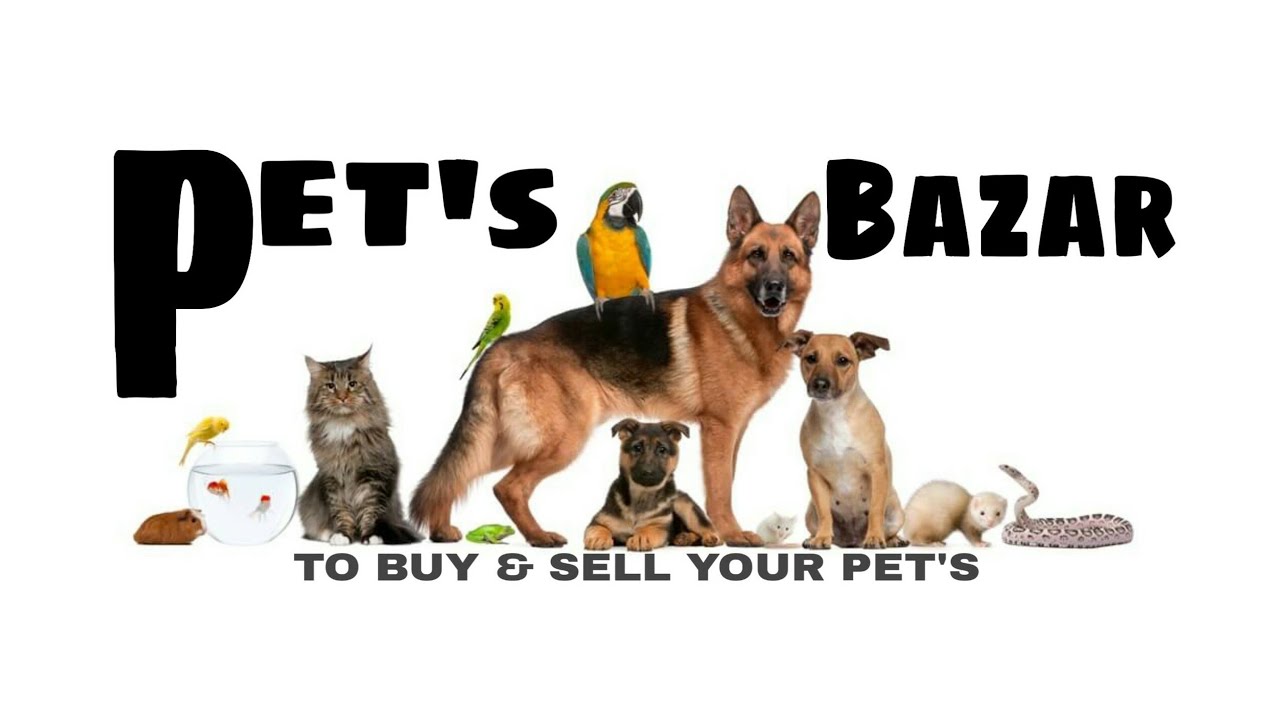 PETS BAZAR || TO BUY & SELL YOUR PETS || PETS BAZAR PROMO VIDEO - YouTube
