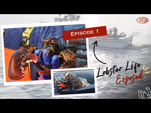 A Day in the Life of a New Brunswick Lobster Fisherman | Real Stories from the Sea