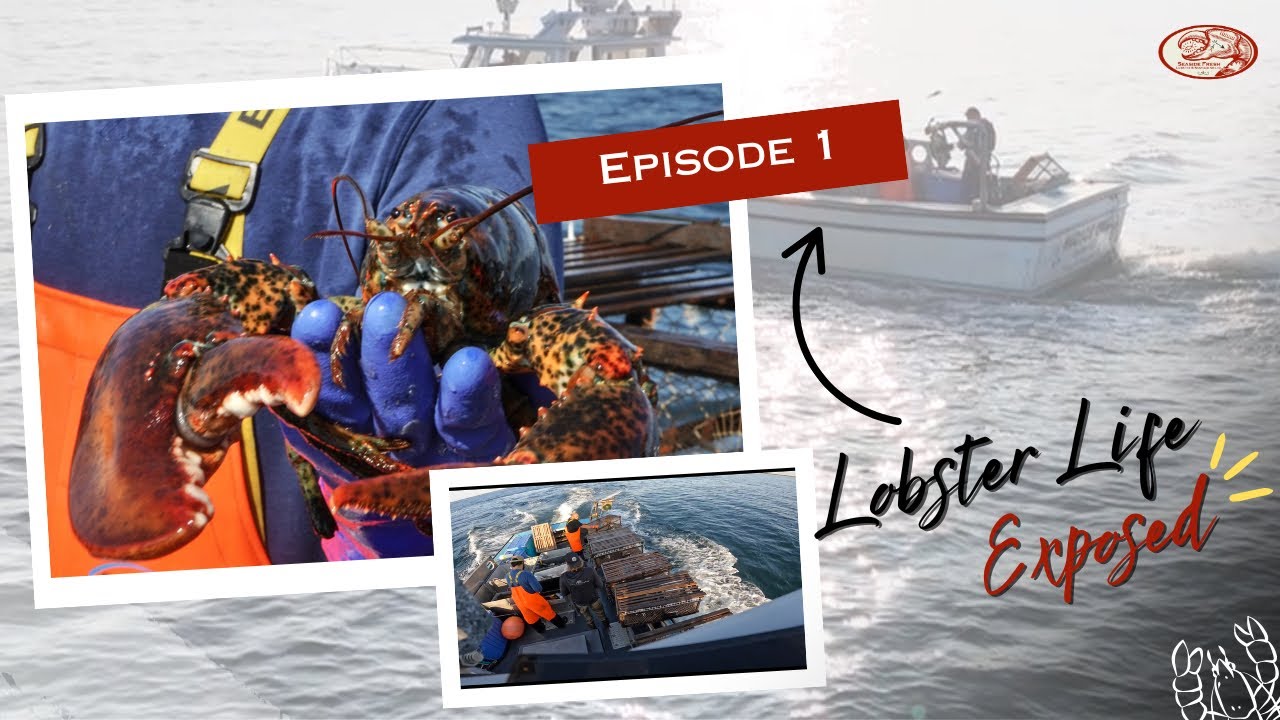 A Day in the Life of a New Brunswick Lobster Fisherman | Real Stories ...
