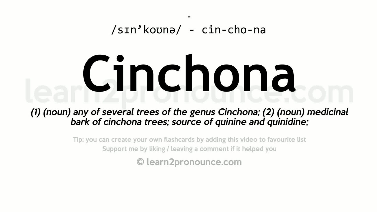 Pronunciation of Cinchona | Definition of Cinchona - YouTube