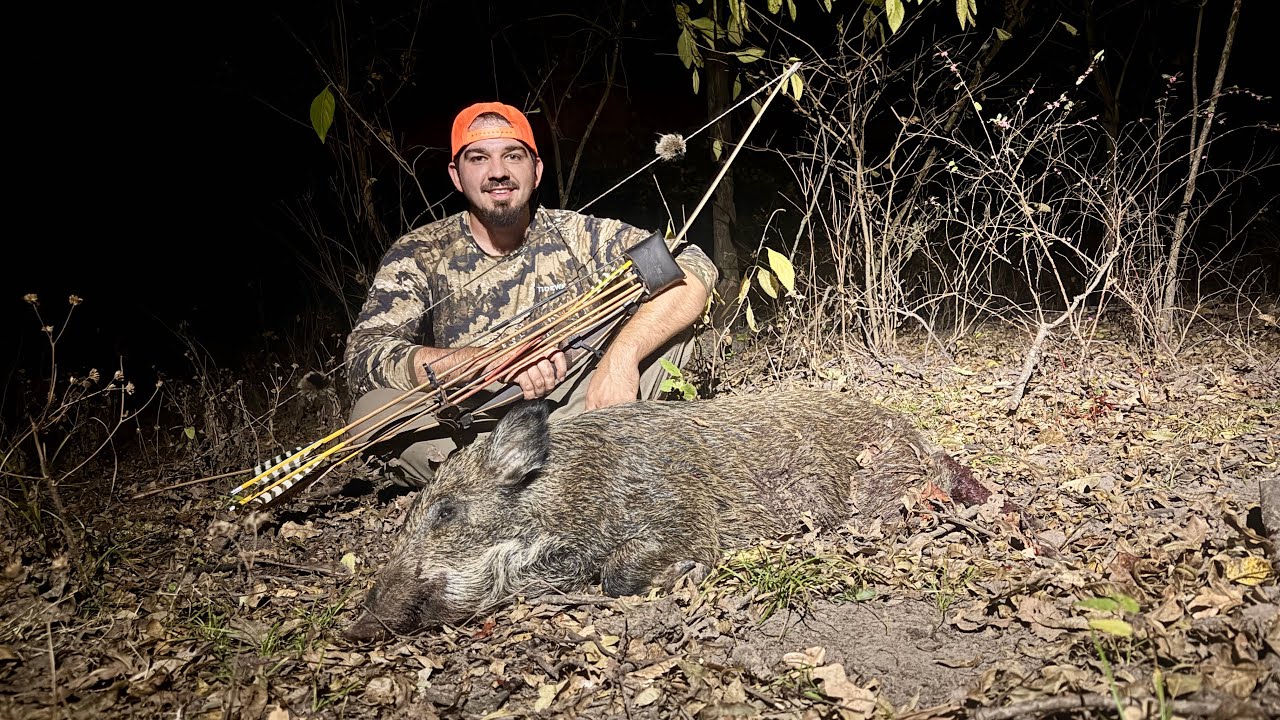 Traditional Bow Hunt on Public - Hog - YouTube