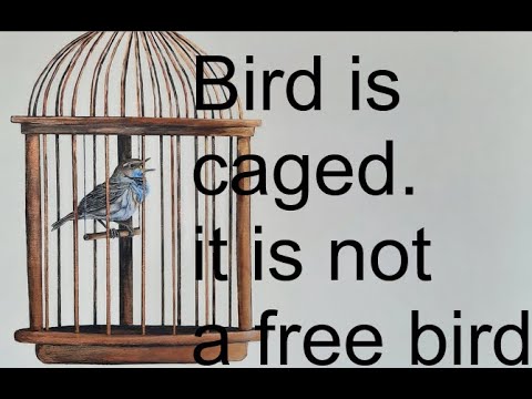 I am not yet a free bird in Beat Saber - YouTube
