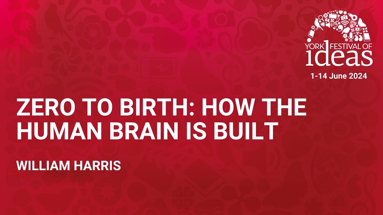 Zero to Birth: How the human brain is built - William Harris - YouTube