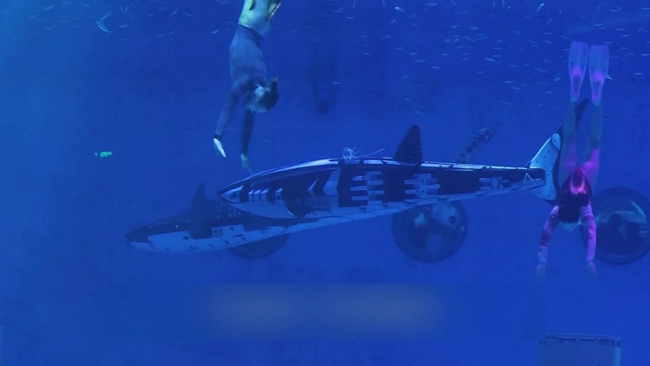 Bionic Whale Shark - YouTube