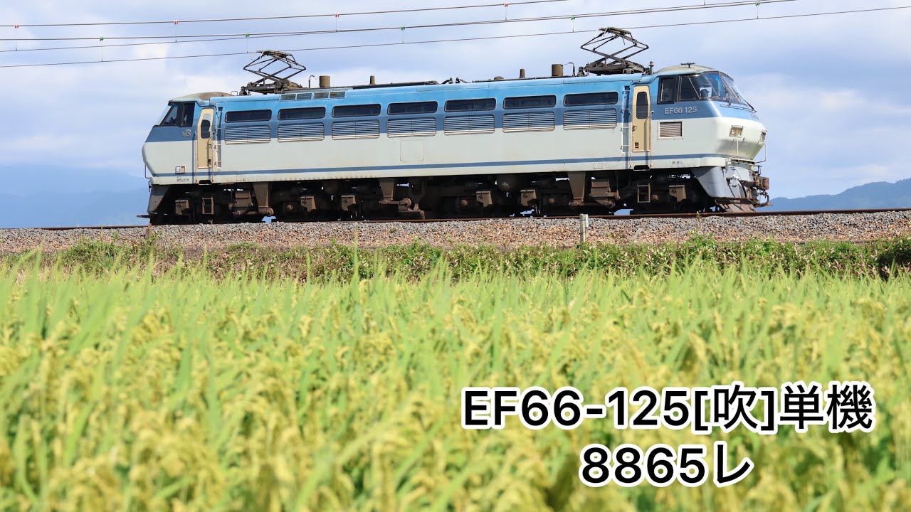 EF66-125[吹]単機 8865レ - YouTube