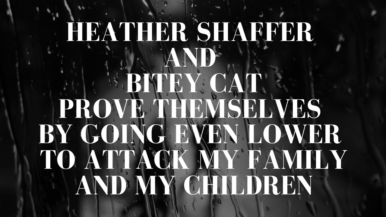 Heather Shaffer and Bitey Cat Attack my Kids Over His Cancer and Go ...