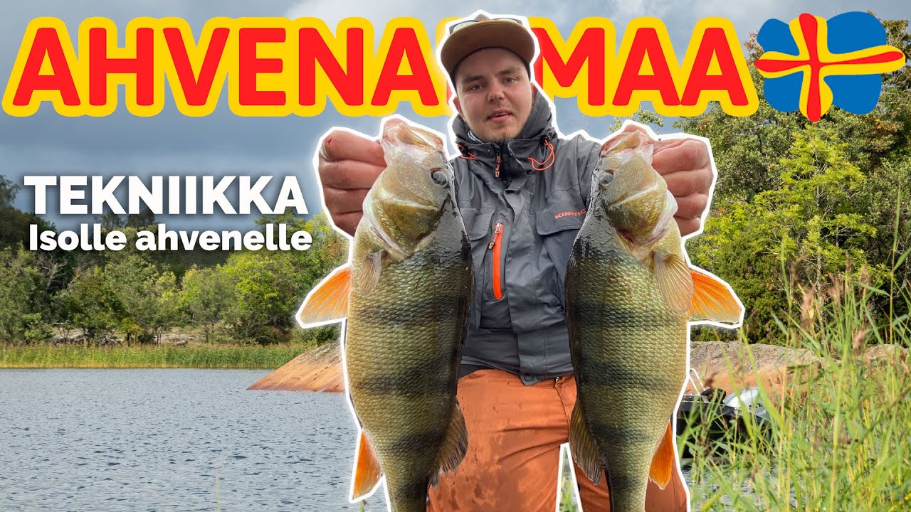 How to catch a big perch - YouTube