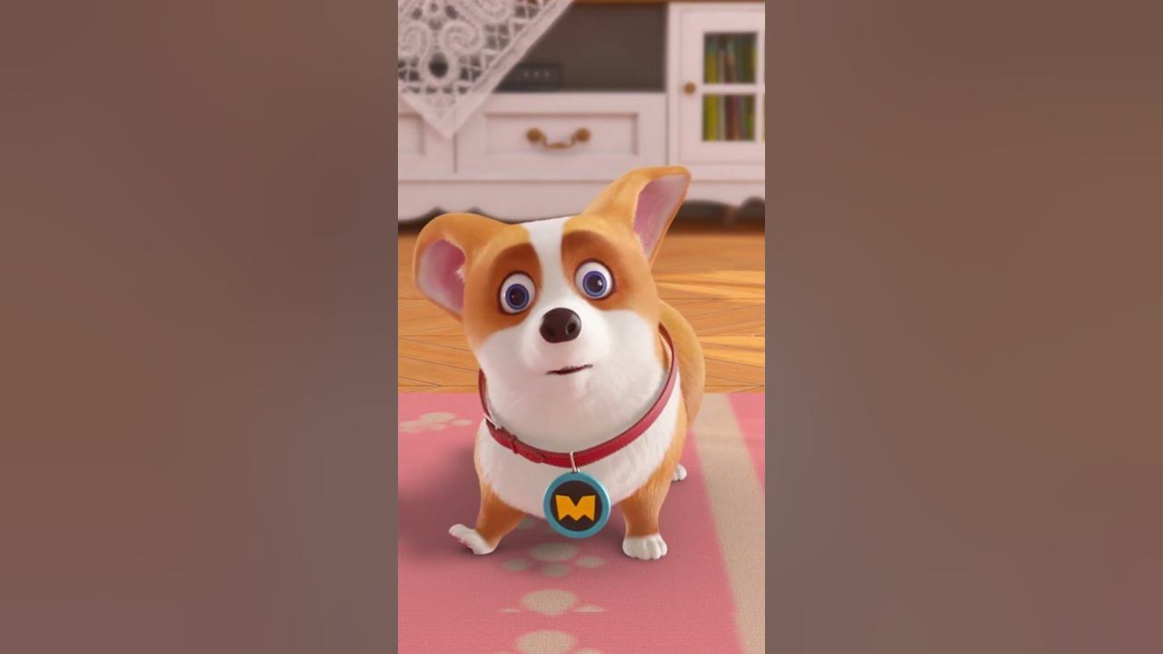 Flying MOCO🐶 | Sweet Moments 幸福時刻 | Flying MOCO Shorts 爆笑飛狗MOCO (2024) - YouTube