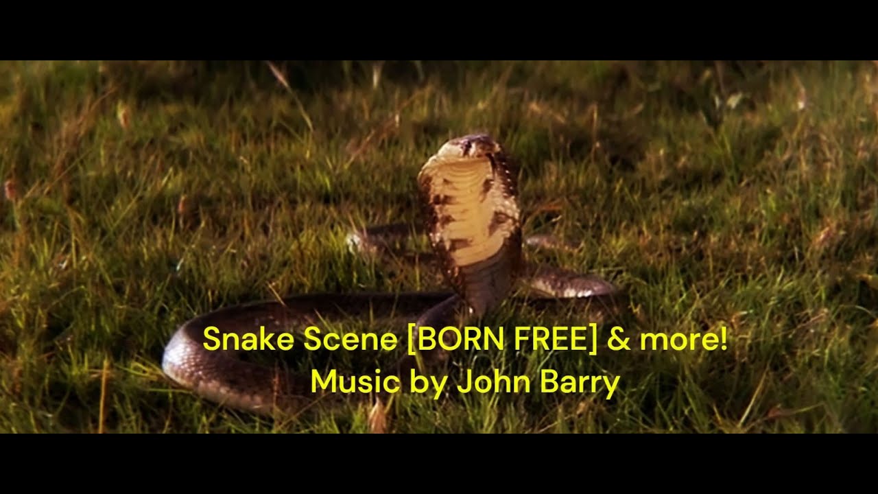 Snake Scene [BORN FREE] John Barry--& more! - YouTube