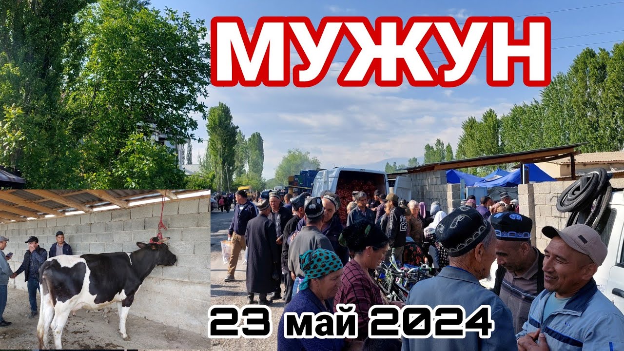 МОЛБОЗОРИ ДЕВАШТИЧ БАРОИ ШУМО Youtube