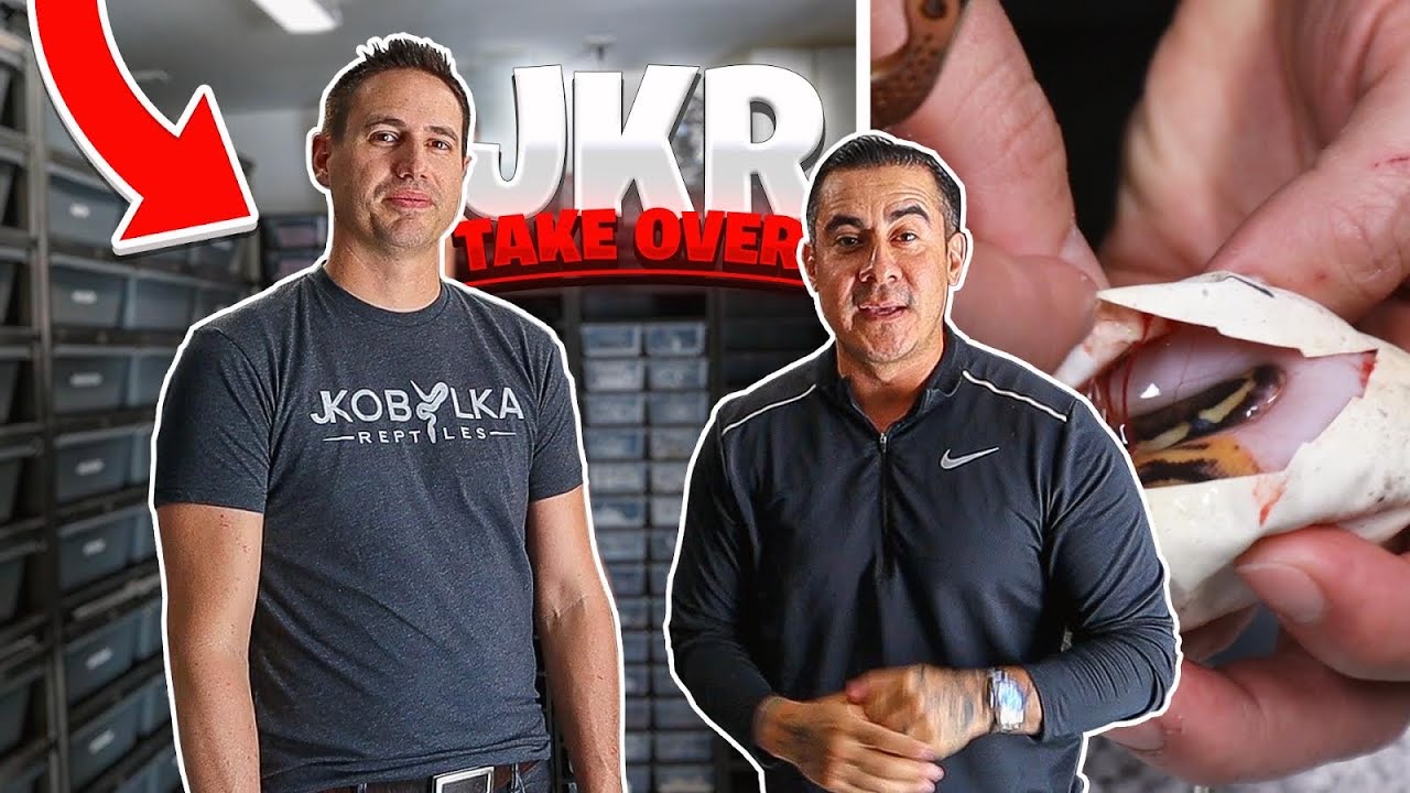 Talk About Bad Odds Must Watch YouTube talk-about-bad-odds-must-watch-youtube