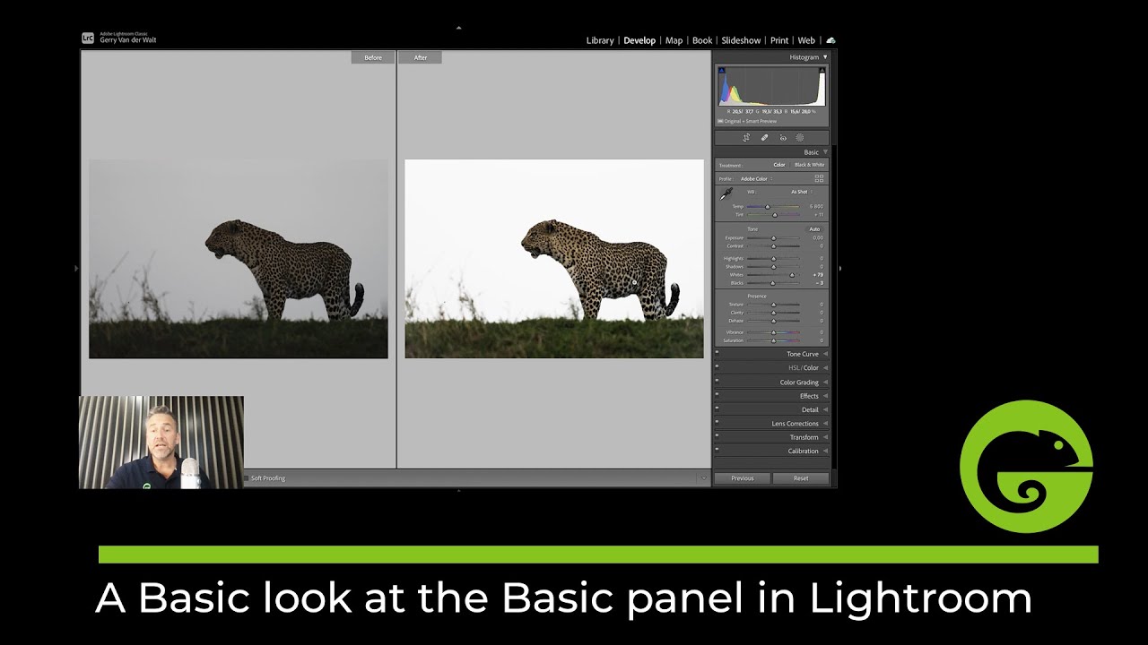 Lightroom - A Basic look at the Basic panel - YouTube