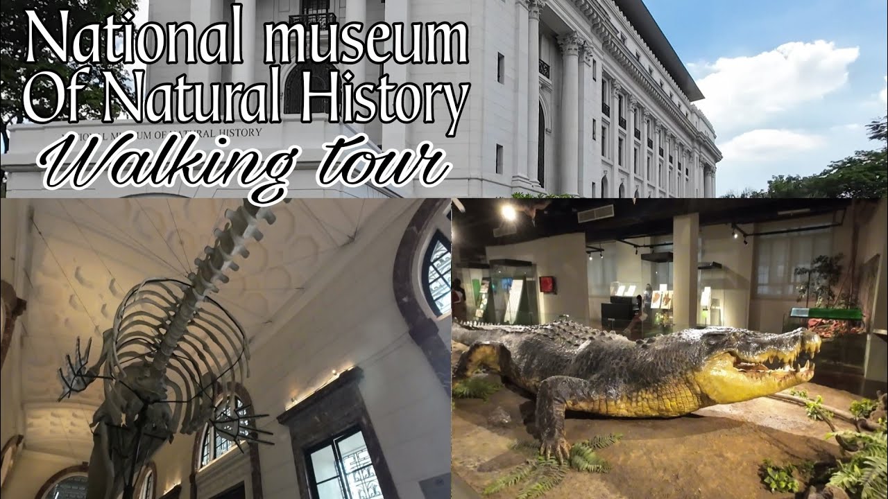 National Museum of Natural History Walking tour | Manila, Philippines ...