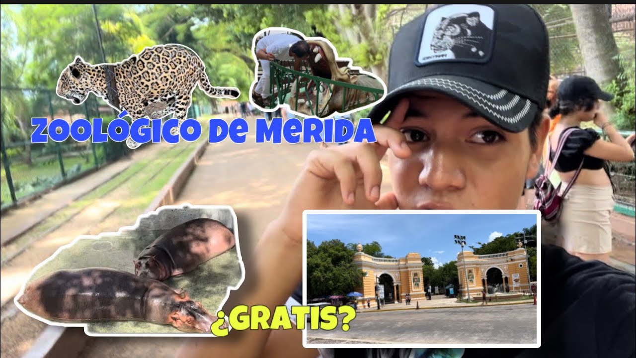 Fuimos al zoológico de Merida🦁 | Totalmente gratuito - YouTube