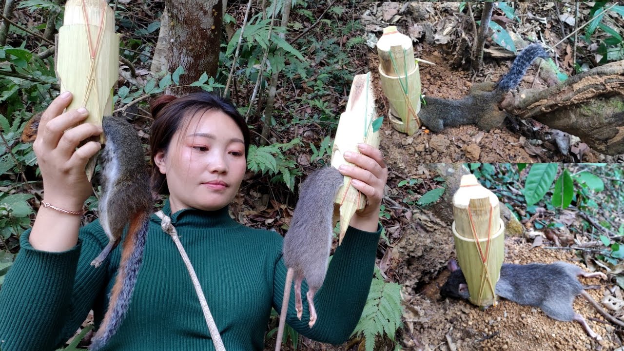 She use amazing bamboo trap to catch squirrel and mouse - YouTube