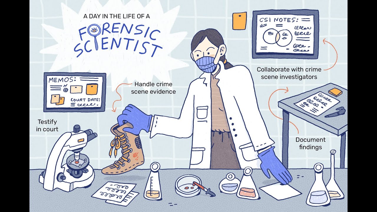 Forensic Science: Unraveling the Mysteries of Crime (3 Minutes) - YouTube