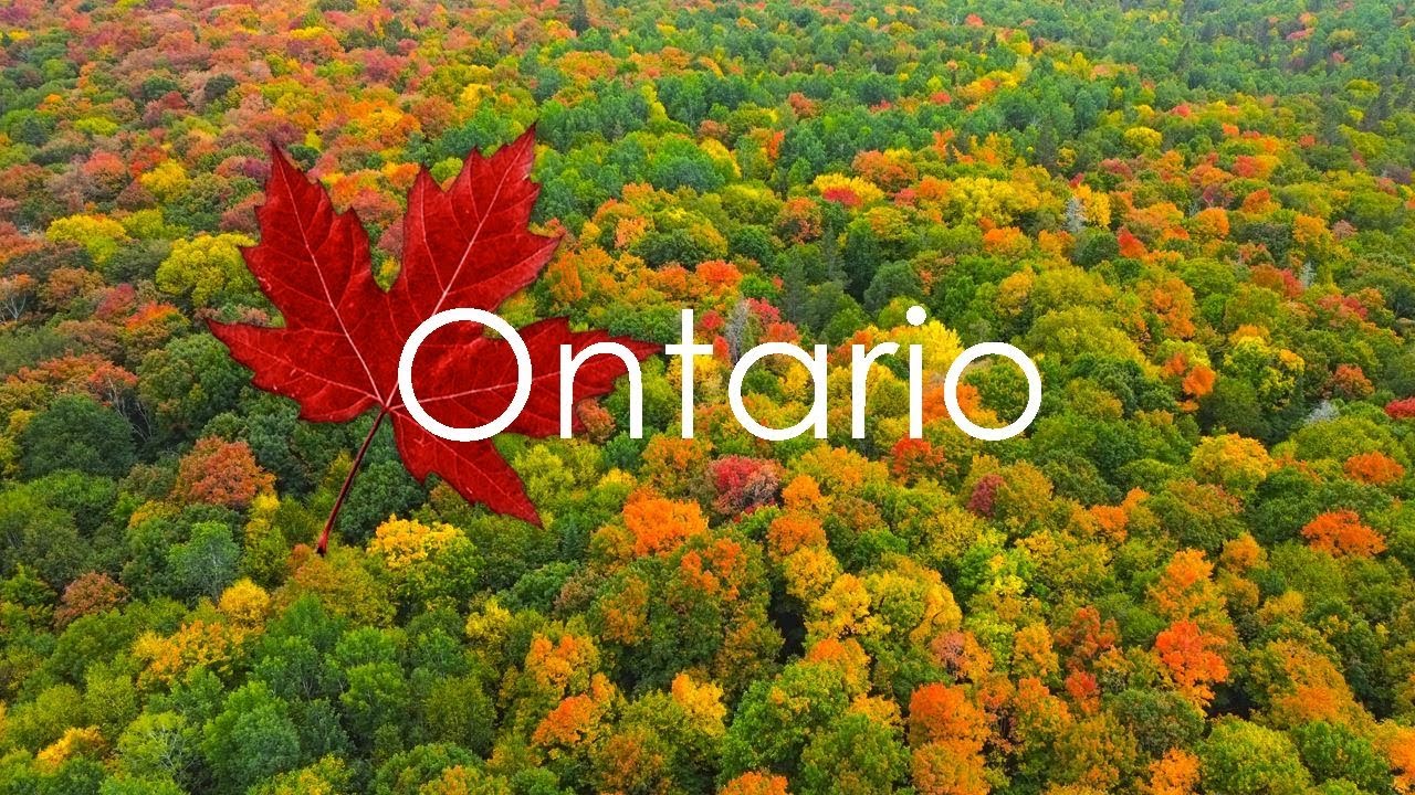 Fall Colours of Ontario - YouTube