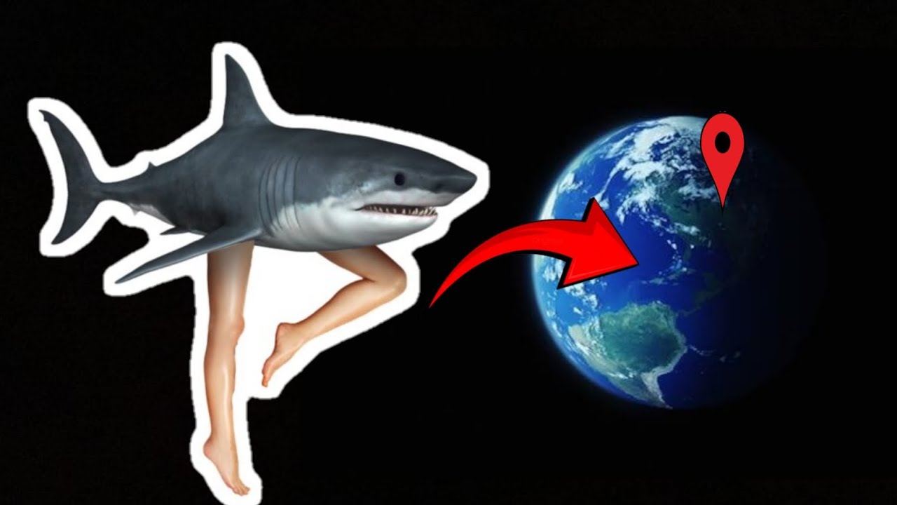 Shark On Human Legs Is Real On Google Earth Map Videos..... - YouTube