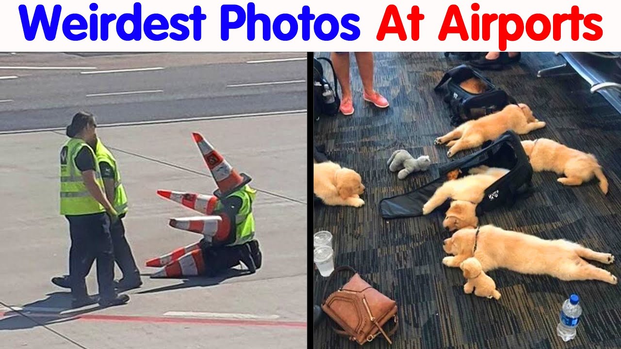 50 Of The Funniest And Weirdest Photos Taken At Airports - YouTube