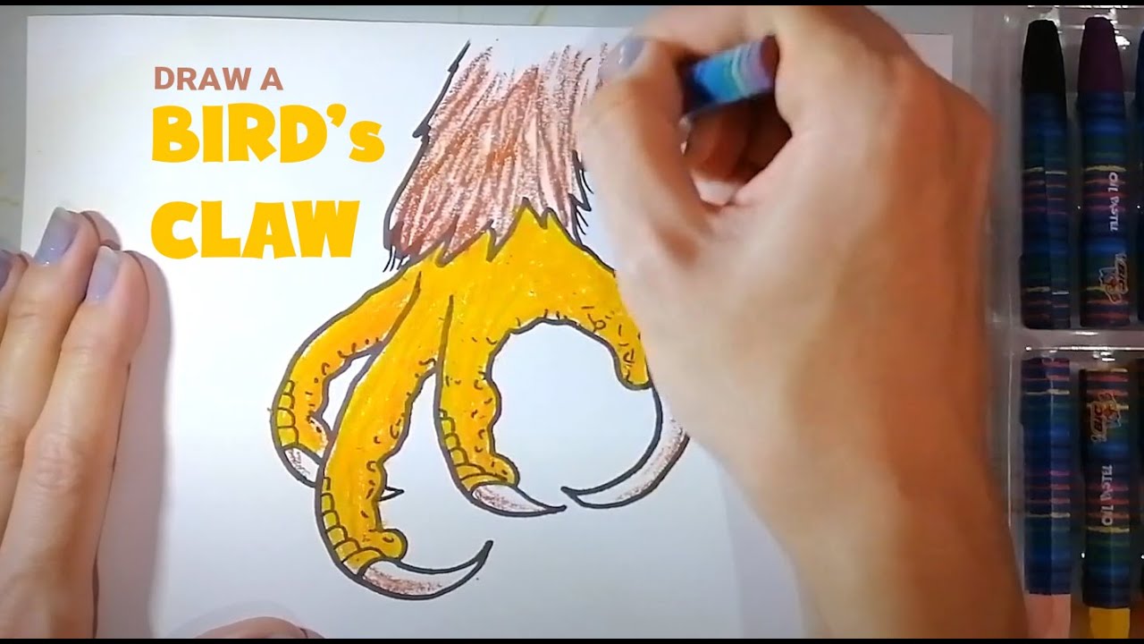 HOW TO DRAW AN EAGLE CLAW - OIL PASTEL & MARKER - EASY DRAW STEP BY ...