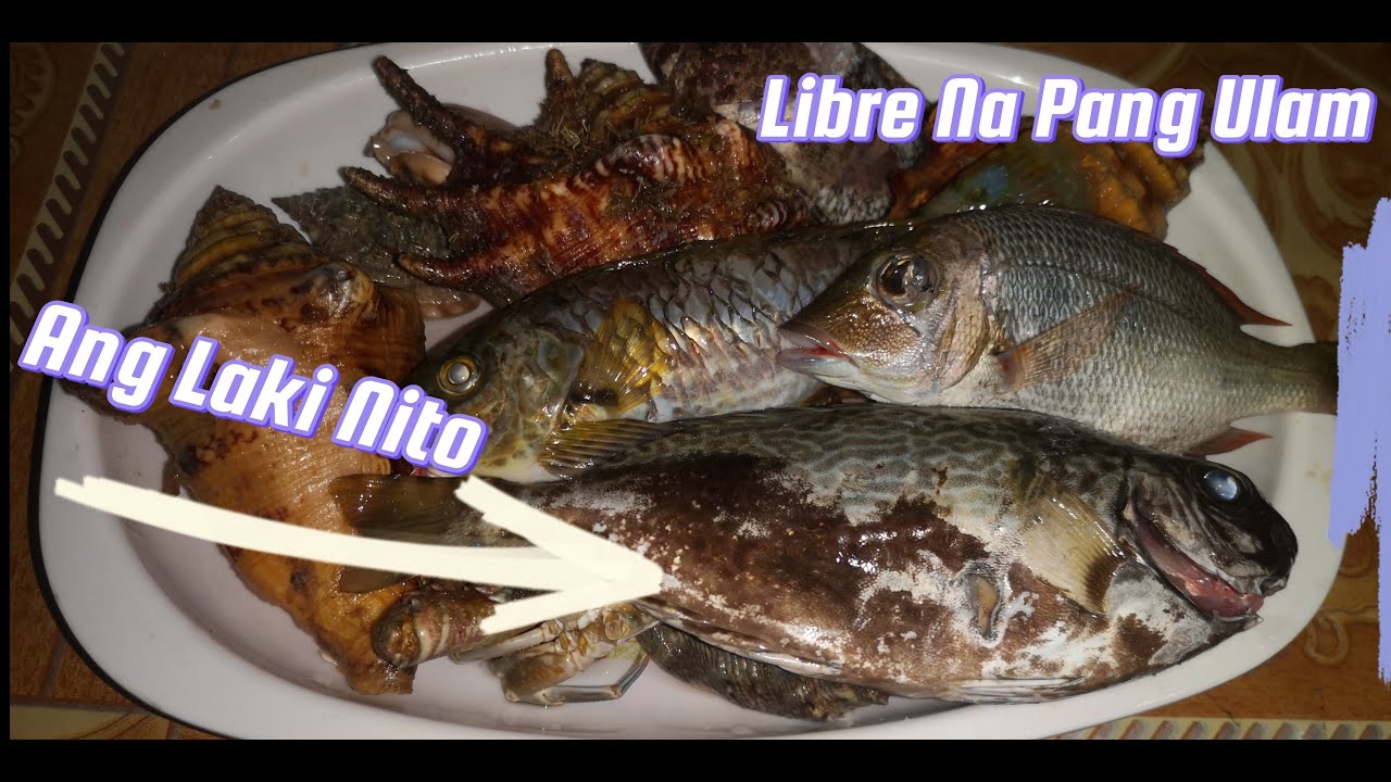 Manolo Tayo mga Migoy - YouTube