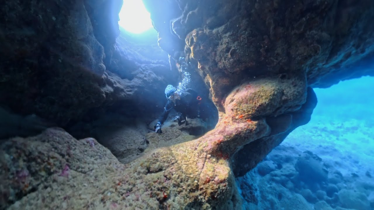 Diving Puako - Underwater Landscapes June 25 2025 - YouTube