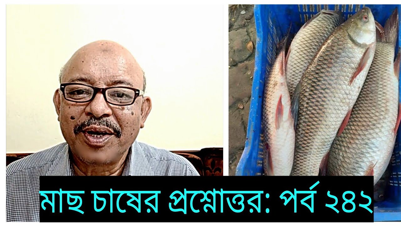 খল্লা মাছ, ব্রানের স্বাদ, শীতকালে এরেটর। Khalla fish, Taste of Bran ...