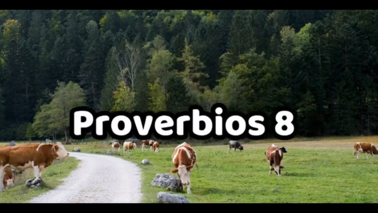 Proverbios 8/ Llamado de la Sabiduría / Biblia / Proverbios de Salomón ...