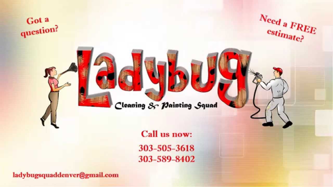 Denver CO. Ladybug Cleaning & Painting Squad Official Video - YouTube