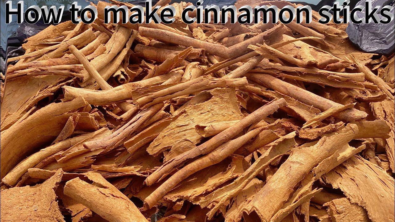 Grenada’s Cinammon is the best(How to make the sticks) ️ - YouTube