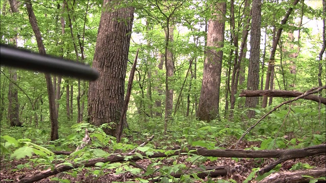 2015 Illinois Public Land Turkey Hunt Self-Filmed - YouTube